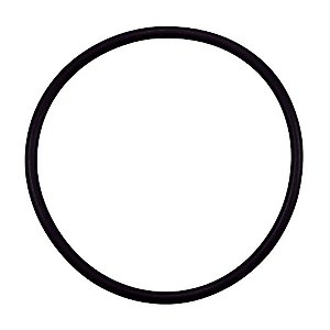Pentair 355331 Diffuser O-Ring Replacement Specialty and Swimming Pool Inground Pump