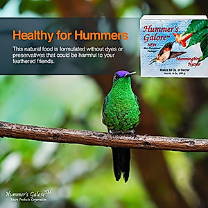 Hummer's Galore Hummingbird Food - Ready-to-Mix Hummingbird Nectar, All-Natural Nectar Collector Formula, 4 Packets, Makes 64 Ounces, No Preservatives or Dyes