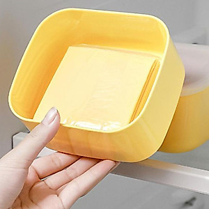 TOPINCN Cheese Holder, Airtight Sliced Cheese Container with Lid, Plastic Refrigerator Storage Box for Cheese Vegetables Fruits, Cheese Storage Box for Fridge (L)