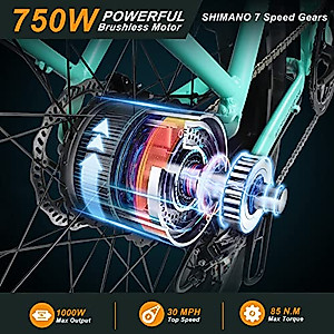 Wildeway Electric Bike Cruiser City Step-Thru Bicycle 750W Motor 26" x 4.0" Fat Tire Ebikes for Adults with 48V 15Ah Removable Battery Hydraulic Disc Brake 30MPH Shimano 7 Speed Gear