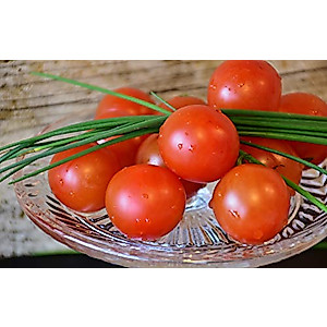 Sow Right Seeds - Chive Seed Collection for Planting - Grow Both Common Chives and Garlic Chives for Your Kitchen - Non-GMO Heirloom Seeds with Instructions to Plant, Indoor or Outdoor; Great Garden