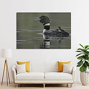 Common Loon with Chick on Water Back Call Picture Poster Wall Decoration Poster in Kamloops, British Canvas Painting Posters And Prints Wall Art Pictures for Living Room Bedroom Decor 24x36inch(60x90