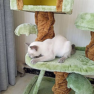 DHDM Cats Tree Cats Climbing Frame Cats Cats Litter Tree Tongtianzhu Climbing Frame House Pet Supplies