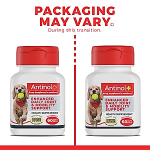Antinol Plus, Mobility, Hip, and Joint Supplement for Dogs, Green-Lipped Mussels and Krill Oil - Dog Joint Supplement, Better and Faster Than Glucosamine and Chondroitin, 60 Soft Gels