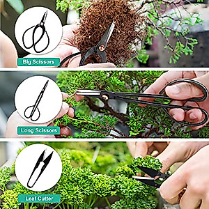 SEBIDER Bonsai Tree Kit Bonsai Tools Set Succulent Kit 16PCS Garden Hand Tool Set Include Pruning Shears, Carbon Steel Bonsai Scissors, Bonsai Starter Kit Gardening Trimming Tools