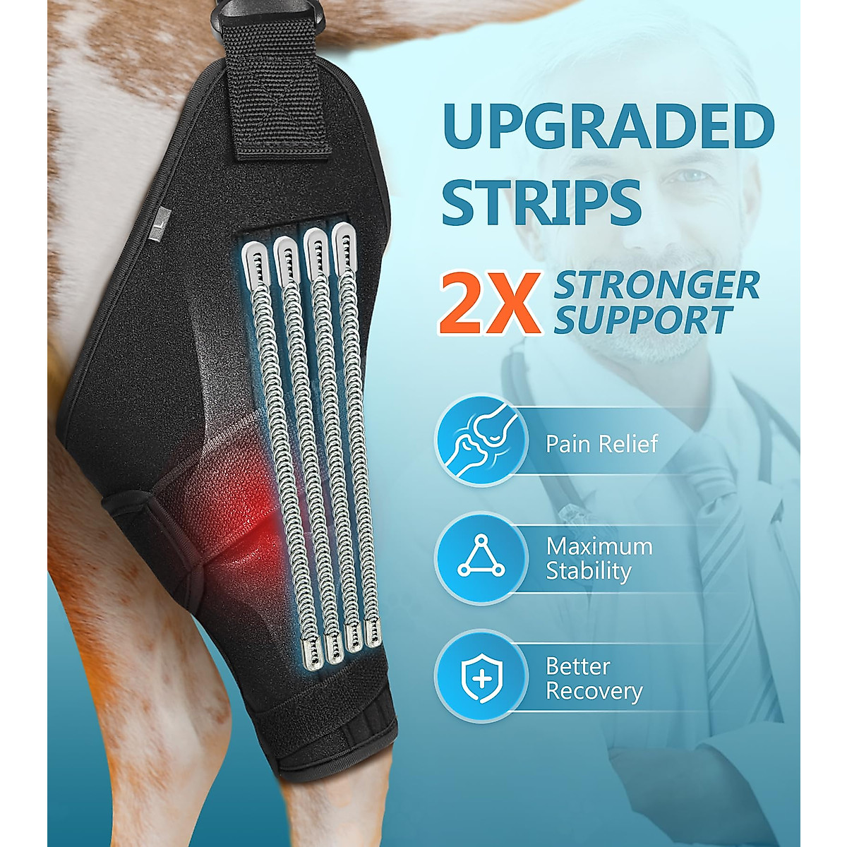CAMRIER 2X Support Dog Knee Brace with Metal Strips for Joint Pain Relief, Dog Leg Braces for Torn Acl Hind Leg, Rear Leg Brace with Adjustable Traction Belt for Cruciate Ligament Injury, Arthritis