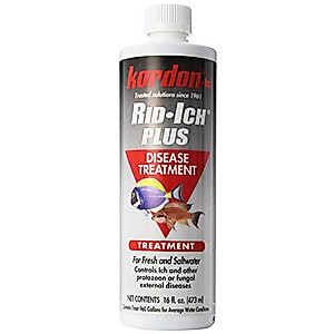 Kordon Rid Ich Plus #37656 - 16oz.