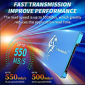 Somnambulist 2.5" Built-in SSD Hard Disk SATA3 120GB 240GB 60GB SSD (Blue Dragon-120GB)