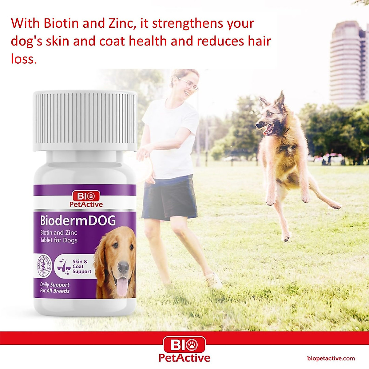 Bio Pet Active BiodermDOG 0.5 Zinc and Biotin Tablets for Dogs, Immune System, Skin, Coat and Nail Support for Dogs, 1.32 oz, 75 Chewable Tablets