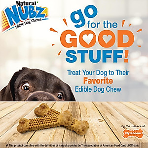 Nylabone Nubz Wild Natural Edible Chew Treats for Dogs, Made in USA, Bison Flavor, Large - Up to 50 lbs. (2 Count)