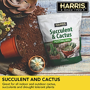 Harris Premium Succulent and Cactus Potting Soil Mix, Fast Draining with Added Nutrients, 4 Quarts