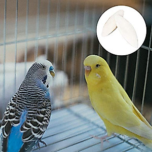 UKCOCO Cuttlebone for Birds, Natural Polished Cuttlebone Bird Training Chew Molar Toy for Budgies Finches Canaries Lovebirds 12pcs-10cm