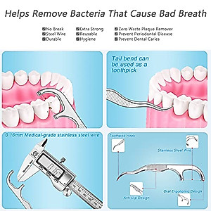 Toothpicks Pocket Set, Dental Floss Picks Kit Reusable, Stainless Steel Teeth Cleaning Tools, Flossers for Adults, Tooth Picker Oral Hygiene Travel (2 Set)