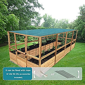 Alion Home 35% Sunblock DIY Shade Cloth - Garden Netting - Mesh Sun Shade Cover for Garden Patio Plants - Green (6' x 12')