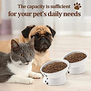 Yedio Porcelain Raised Cat Bowl, Tilted Cat Food Bowl with Anti Slip Band, Stress Free, Elevated Porcelain Pet Bowl Protect Pet's Spine, Backflow Prevention, Dishwasher Safe, White