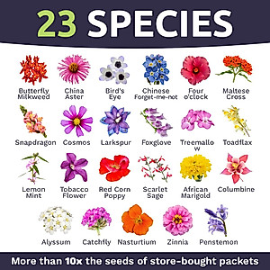 Wildflower Seeds Butterfly and Humming Bird Mix - Large 1 Ounce Packet 7,500+ Seeds - 23 Open Pollinated Annual and Perennial Species