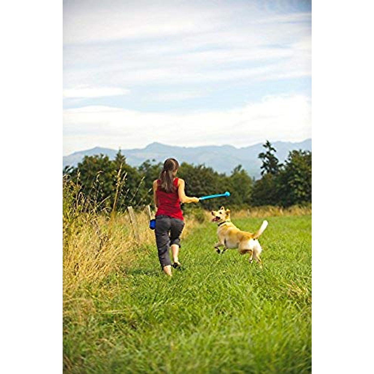 Chuckit The Whistler Ball Dog Toy, Medium (2.5 Inch Diameter) for Dogs 20-60 lbs, Pack of 2, Multicolor