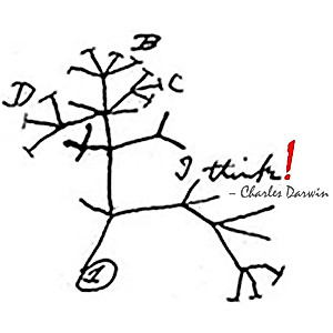 CafePress Darwin's Tree (I Think!) Ceramic Coffee Mug, Tea Cup 11 oz