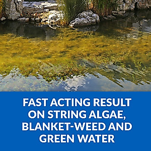 CrystalClear Algae D-Solv Pond Algae Control, Fast-Acting EPA Registered Algaecide, Use in Fountains & Outdoor Ponds Containing Koi & Other Fish, Treats 5,760 Gallons, 16 Ounces