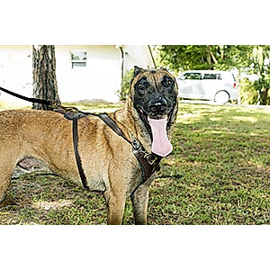 Viper Biothane Working Tracking Lead Leash Long Line for Dogs, Black