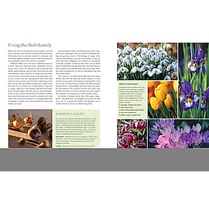 The Flower Gardener's Bible: A Complete Guide to Colorful Blooms All Season Long: 400 Favorite Flowers, Time-Tested Techniques, Creative Garden Designs, and a Lifetime of Gardening Wisdom