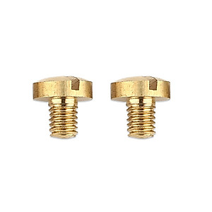 Saxophone Repair Kits, Alto Sax Repair Maintenance Kit, with Rollers, Needle Springs, Rat-tail Screws, Reeds, Reed Screws, Adjusting Screws, Nuts, Round Head Screws