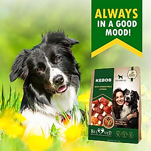Beloved Pets Kabobs Dog Treats with Duck & Chicken Human Grade Meat - All Natural Pet Dried Snacks Rawhide - Free & Grain Free Long Lasting Chews for Large & Small Dogs - Supports Healthy Teeth