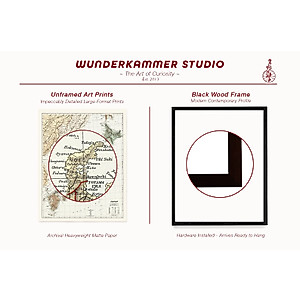 Wunderkammer Studio - Violin Patent Poster Print - Music Wall Art - Home Décor - Violin Gift - 16 x 20 Unframed Art Print