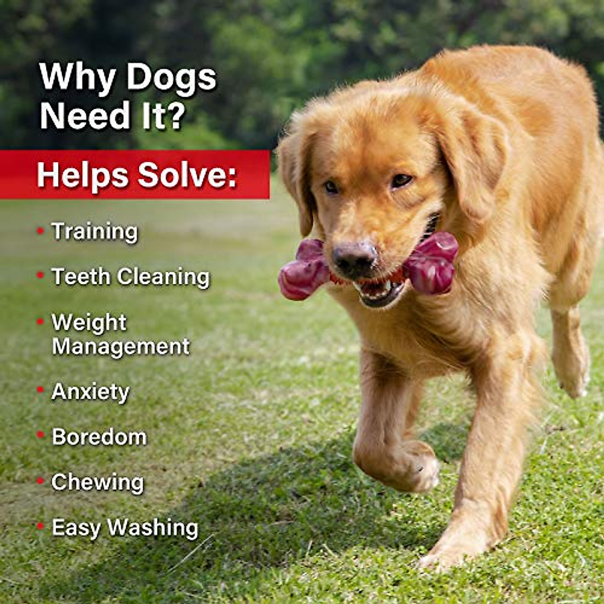 Apasiri Tough Dog Toys for Aggressive Chewers Large Breed, Dog Chew Toys, Durable Dog Toys, Dog Bones Made with Nylon and Rubber, Big Indestructible Dog Toy, Medium Puppy Chew Toys Teething chew Toys