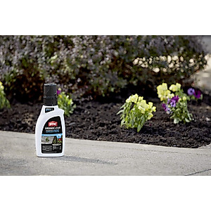 Ortho GroundClear Weed and Grass Killer Super Concentrate - Kills Weeds and Grass, Kills to the Root, Starts Working Immediately, for Patios and Landscaped Areas, 32 fl. oz.