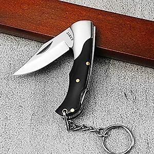 EZKIT Small Pocket Knife, EDC Pocket Knife, D2 Stainless Steel and Wood Handle, Small Knife, Blade Length 2in