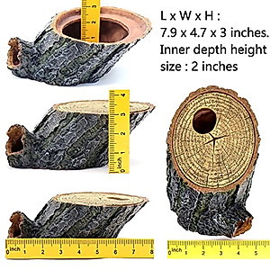 Snake Hide and Basking Tree Roots Cave for Terrariums, Available for Climbing and Hiding Spots for Reptiles, Amphibians, and Small Animals, Corn Snake, Green Snake and Small Gecko