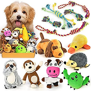 Dog Squeaky Toys For Small Dogs, 12 Pack Puppy Toys For Teething Cute Small Dog Toys Stuffed Plush Dog Toy Bundle Natural Cotton Puppy Rope Toy Dog Chew Toys For Puppies Pet Toys For Dogs