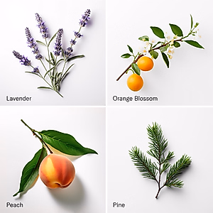 AromaTech Santal & The Hotel Set | Gift Set of Aroma Diffuser Essential Oils Blend of Santal Cardamom, Papyrus, Musk | The Hotel Peach, Red Rose, Pine - 10 Milliliter