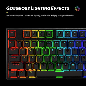 Gaming Keyboard Mechanical 87 Key Silent Red Switch, KITCOM TKL RGB NKRO Backlit Per Key Double-Shot ABS keycaps Programmable Macro Detachable Type-C Quiet Wired Keyboard for Windows Laptop PC NK60T