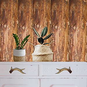 BestGiftEver Rustic Antler Pulls (Set of 2) 6 inch long in a pair for Cabinet Drawer Door - Cabin Lodge Decor