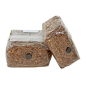 Myco Labs Premium 5-Grain Mushroom Spawn Bags | Sterilized Grain Spawn | Injection Ports | 2 Quarts Each Bag | 2 Bags per Box