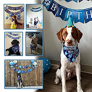 TCBOYING Dog Birthday Bandana, Dog Birthday Boy Hat Scarfs Flag Balloon with Cute Doggie Birthday Party Supplies Decorations(11-Piece Set) (Blue)