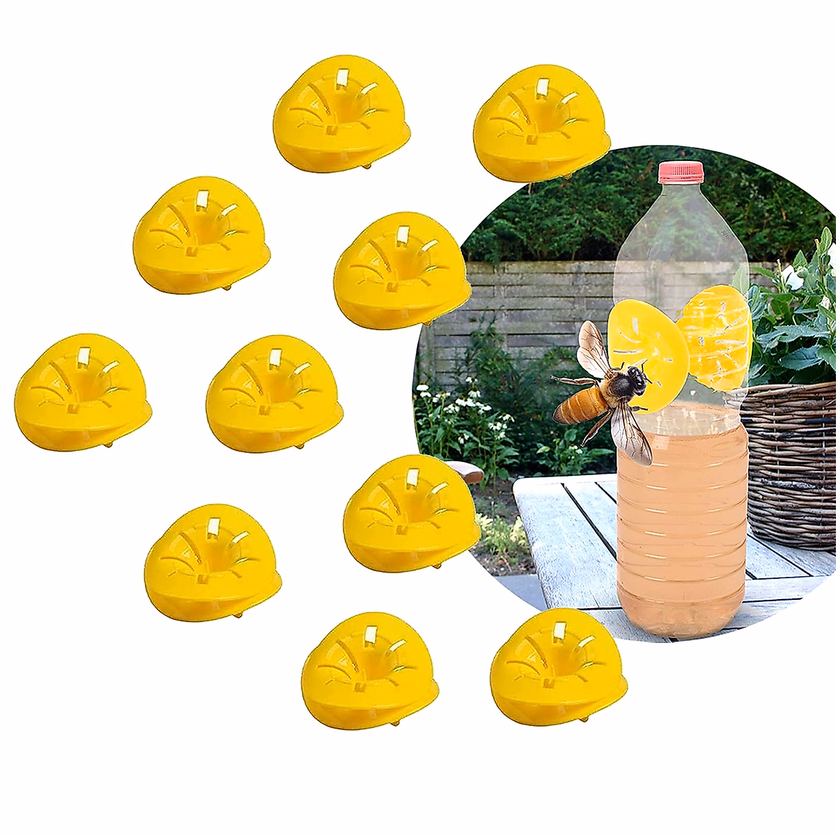 SKAbod 10Pack Hornet Traps Outdoor Hanging Indoor Outdoor Reusable Wasp Traps Hornet Hanging for Yellow Jackets Bee Catcher