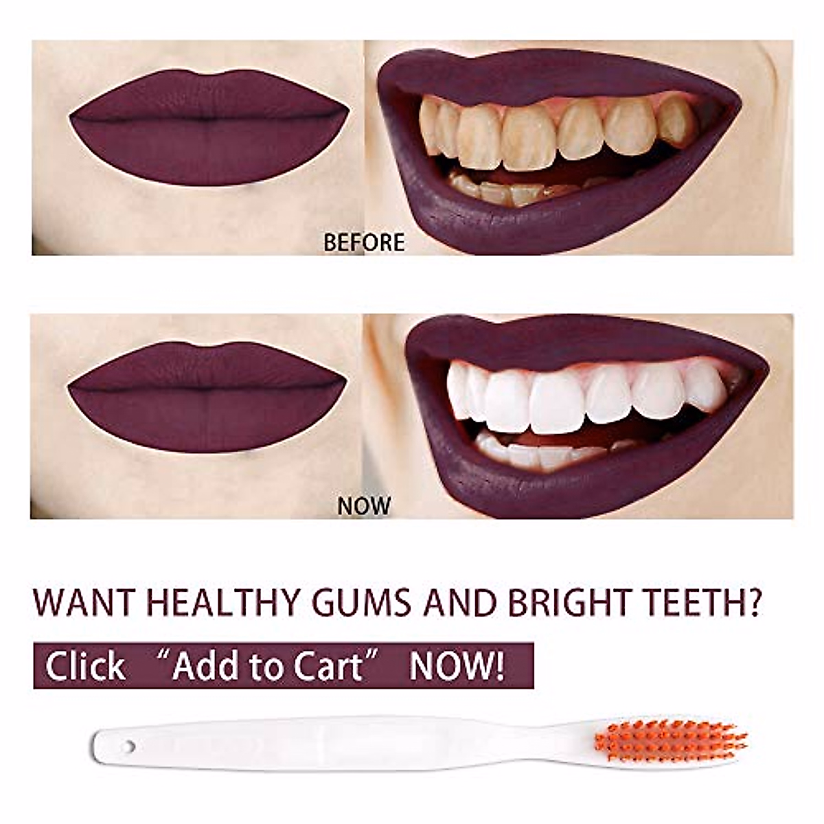 DR PERFECT WISDMAX Toothbrushes Hard Toothbrush for Smoker's Teeth Whitening Pack of 12