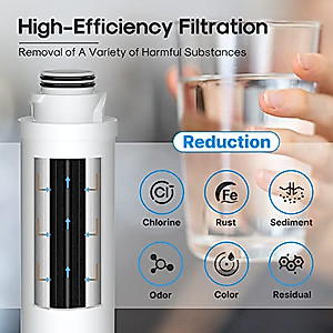 ICEPURE CTR-W1 CF Filter Replacement Cartridge, Replacement for Countertop Reverse Osmosis Water Filtration System, 3-6 Months Lifetime (1 Pack)
