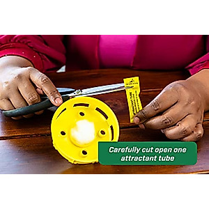 RESCUE! Yellowjacket Attractant – for RESCUE! Reusable Yellowjacket Traps – 4 Week Supply - 2 Pack