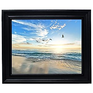 Smashed Banana 16x20 Black Museum Gallery Picture Frame - Extra Wide Curved Molding - Display Photos Posters or Artwork - Premium Designer Profile