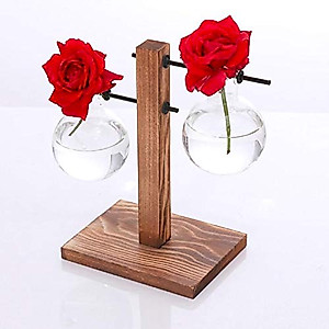 Kingbuy Hydroponic Glass Vase Vintage Desktop Plant Terrarium Planter Bulb Vase Water Planting Propagation Vase Planters Hydroponics Plants with Retro Wooden Stand Home Garden.