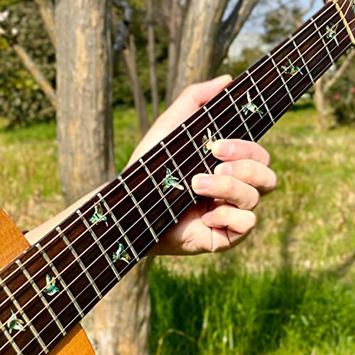 Bee Hummingbirds - Fret Markers Inlay Stickers Decals for Guitars