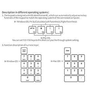 Levieny Wired Number Keypad - 34 Key USB Numeric Keypad, Magicforce Accounting 10 Key for Laptop, Surface Pro, Notebook (White)