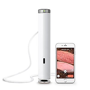 Breville Joule Sous Vide, Stainless Steel, CS10001