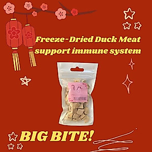 PETIVORE Premium Freeze Dried Duck Meat - High Protein - for Sugar Glider, Hamster, Chinchillas, Marmoset, and Other Small Exotic Pet Treats (15g.)