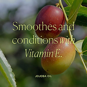 W3LL PEOPLE - Vegan Power Palette Neutral 5 Pan Eyeshadow Palette | Plant-Based, Cruelty-Free Clean Beauty (0.26 oz | 75 g) (Taupe)