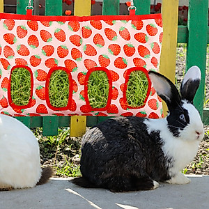 AYAWOW Large Rabbit Hay Bag Guinea Pig Feeder, 18.3x11.6 Inch, 4 Holes, Nylon Material, Suitable for Multiple Pets